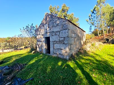 Quinta à venda em Abrunhosa-a-Velha, Mangualde | RE/MAX Portugal