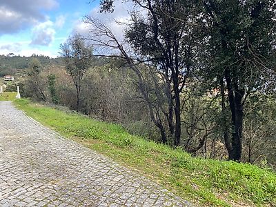 Terreno à venda em Frende, Baião | RE/MAX Portugal