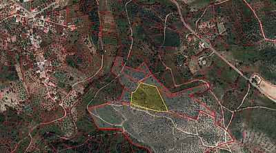 Terreno à venda em Sardoal, Sardoal | RE/MAX Portugal