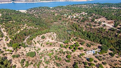 Terreno à venda em Montargil, Ponte de Sor | RE/MAX Portugal