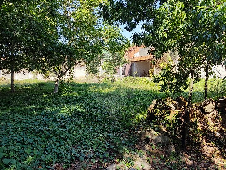 Terreno à Venda Em Souselas E Botão Coimbra Re Max